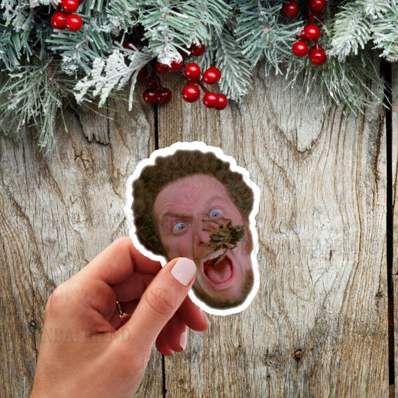 Marv Home Alone Spider