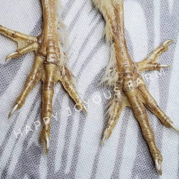 Feet Earrings - Etsy