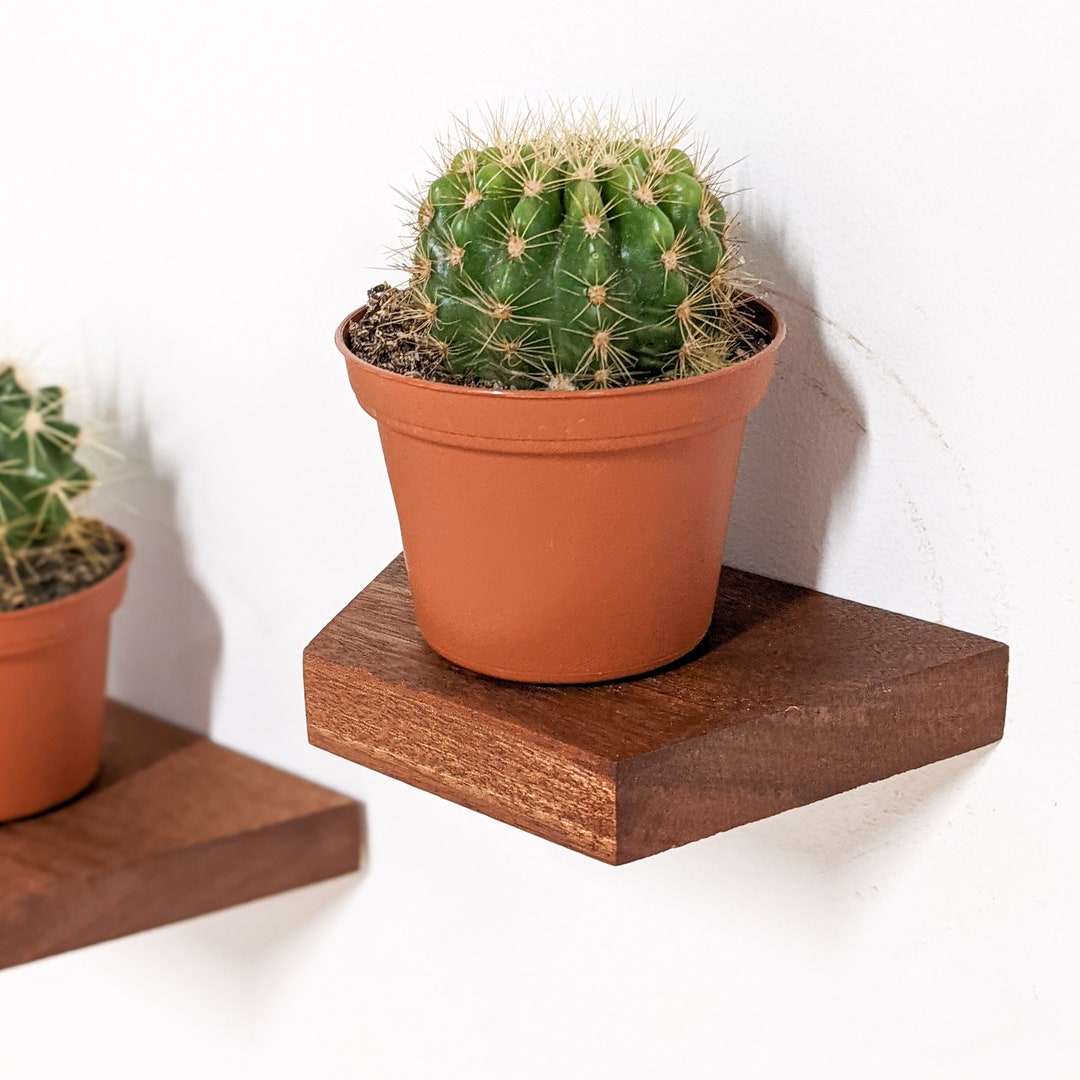 Small Trapezoid Display Shelf in Mahogany | Trinkets, Plants, Keys ...