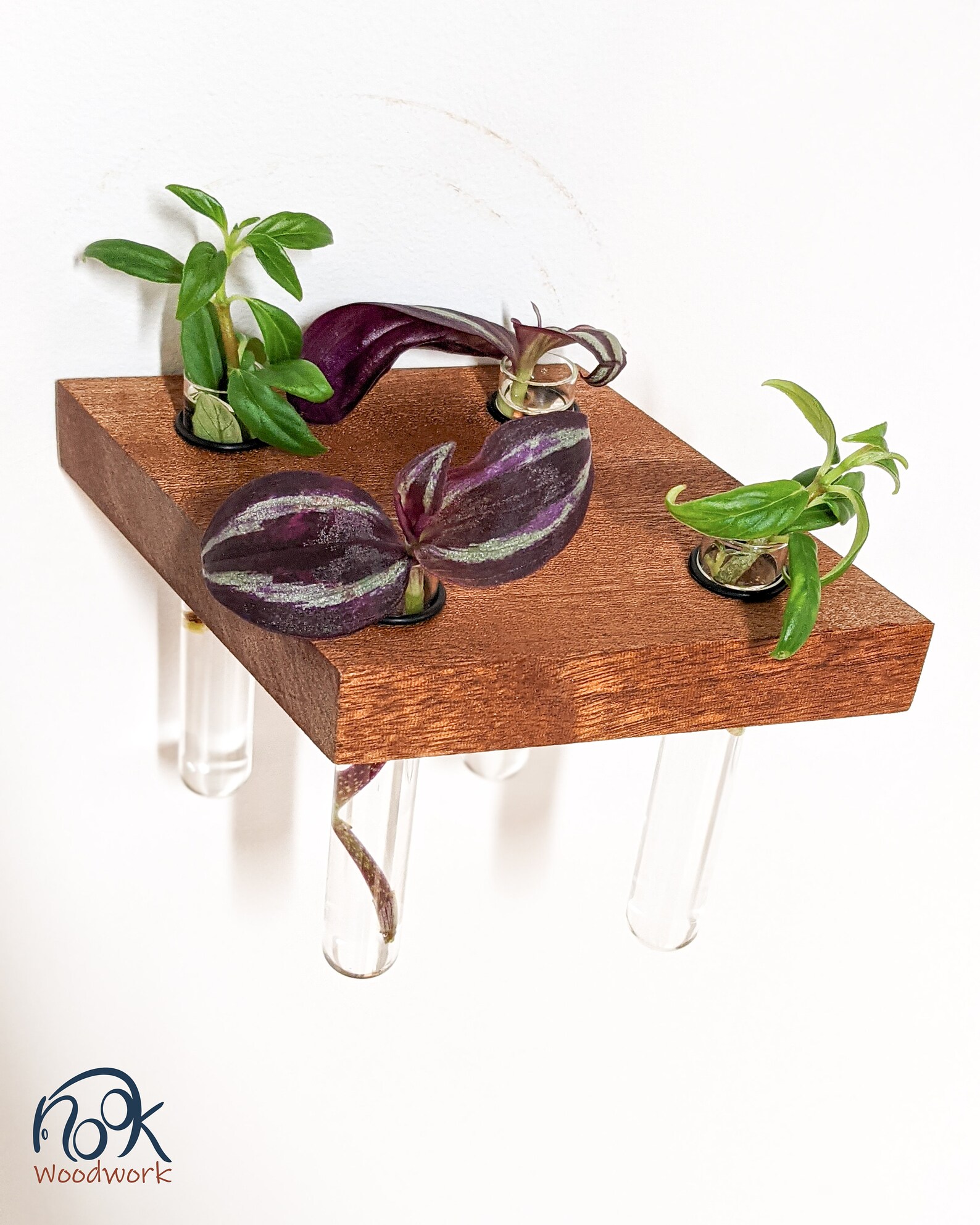 Propagation Station Shelf Rhombus Mahogany or Oak Plants | Etsy