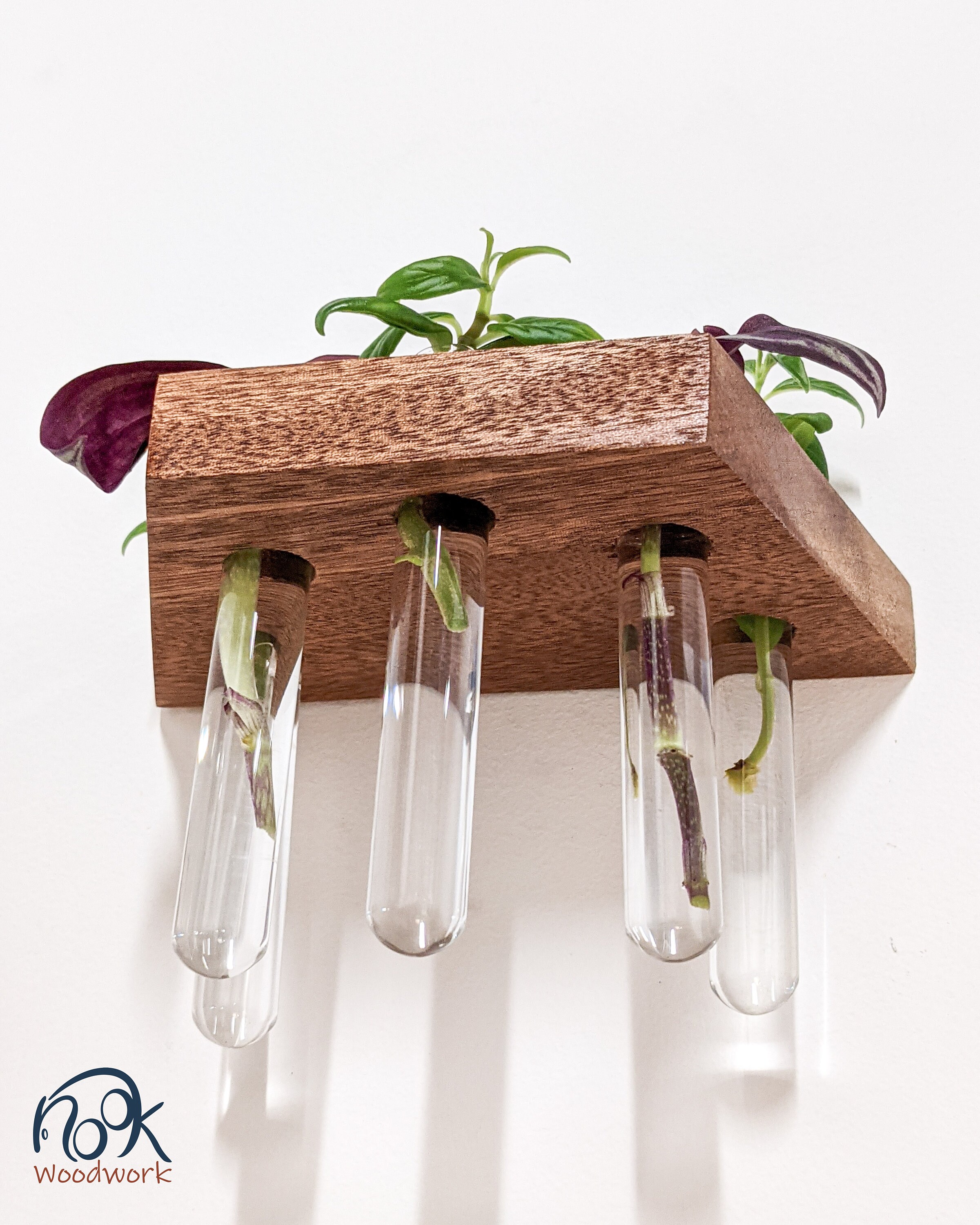 Propagation Shelf Set Mahogany or Oak Plants Cuttings | Etsy