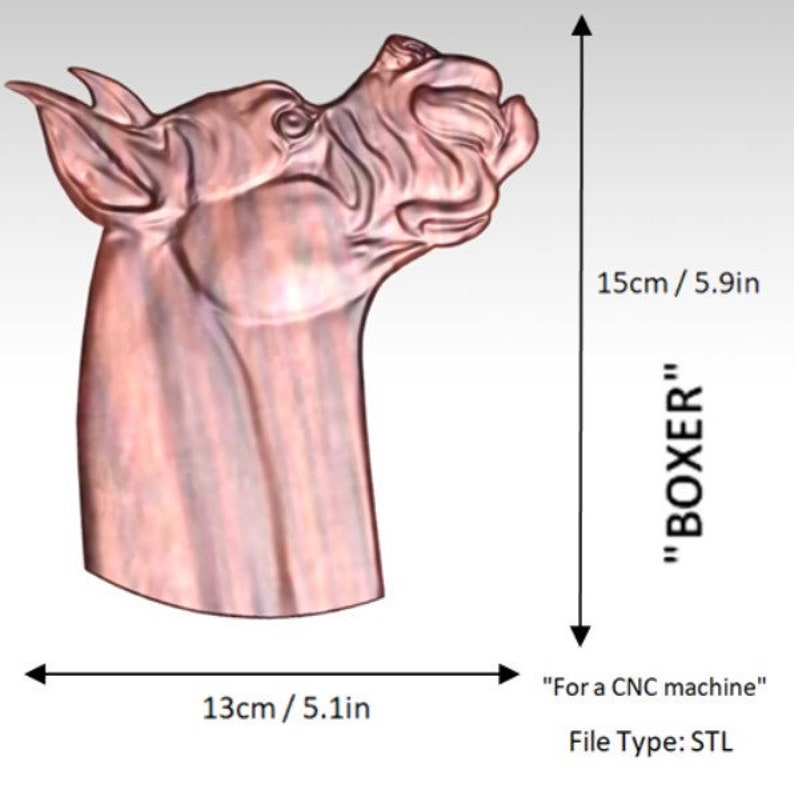 Boxer Dog Head 3D STL Model for CNC (digital Download) - Etsy