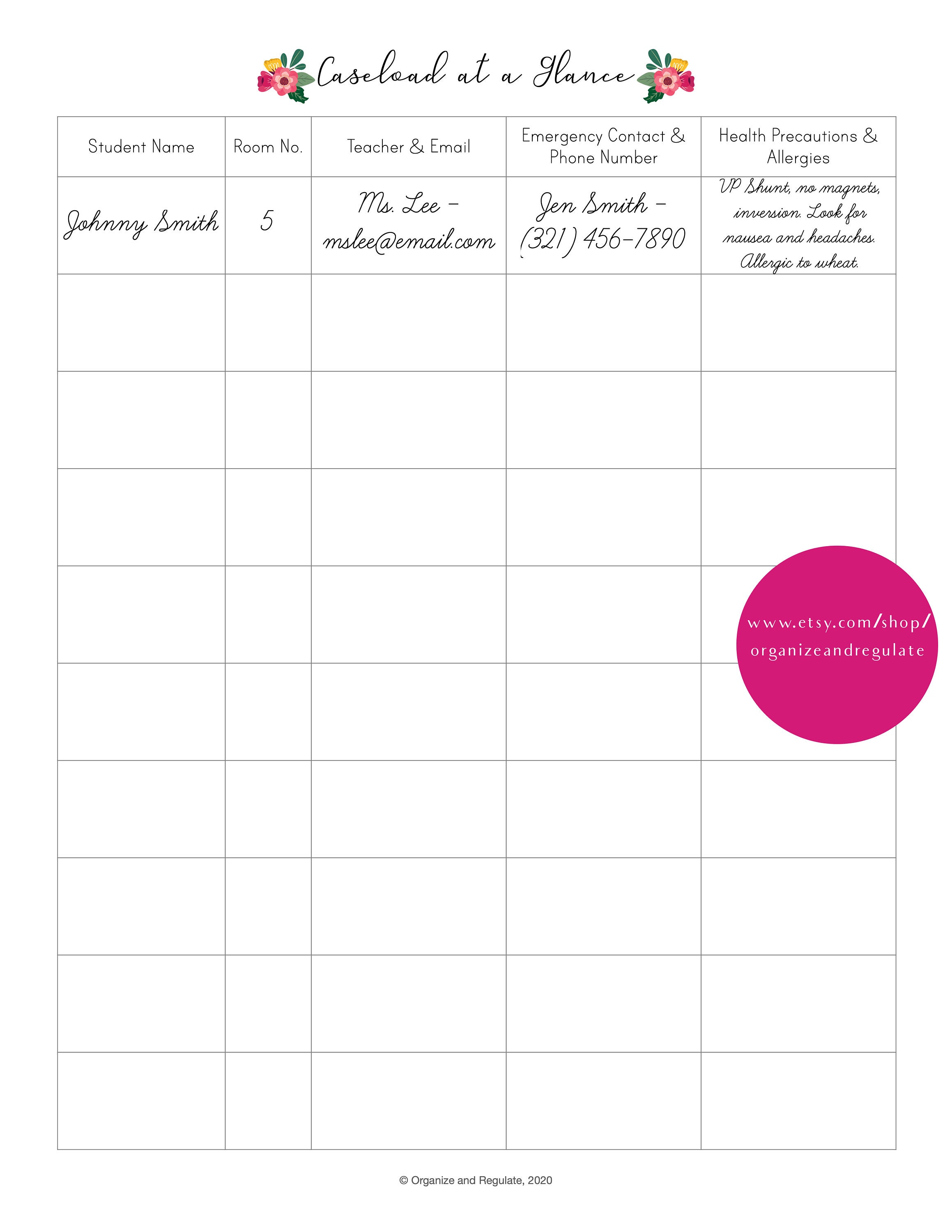 Occupational Therapy Caseload Planner Printable, OT Organizer, OT ...