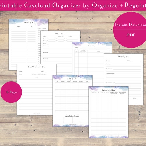 OT Caseload Planner Printable Occupational Therapy Organizer - Etsy