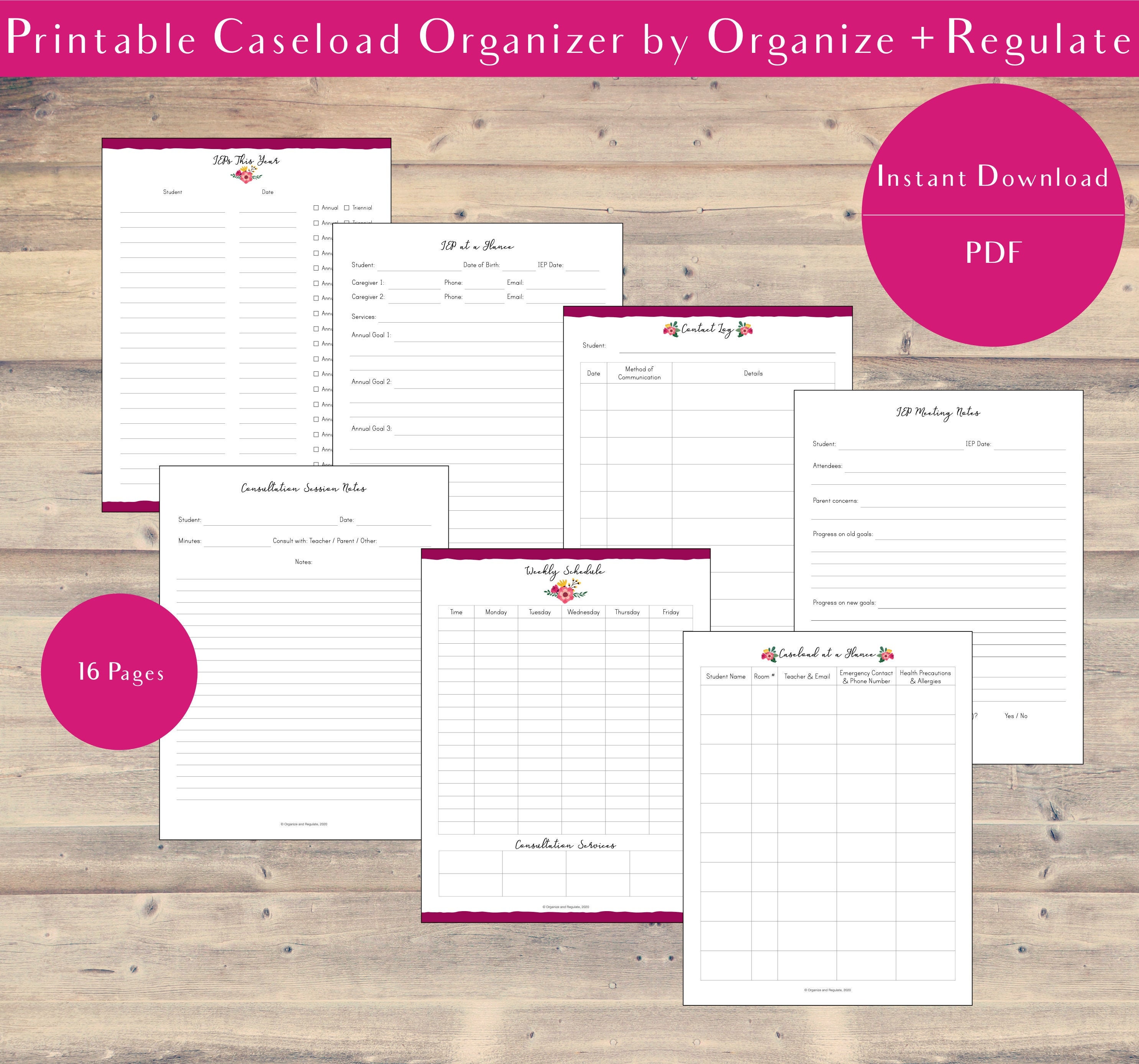 Occupational Therapy Caseload Planner Printable, OT Organizer, OT ...