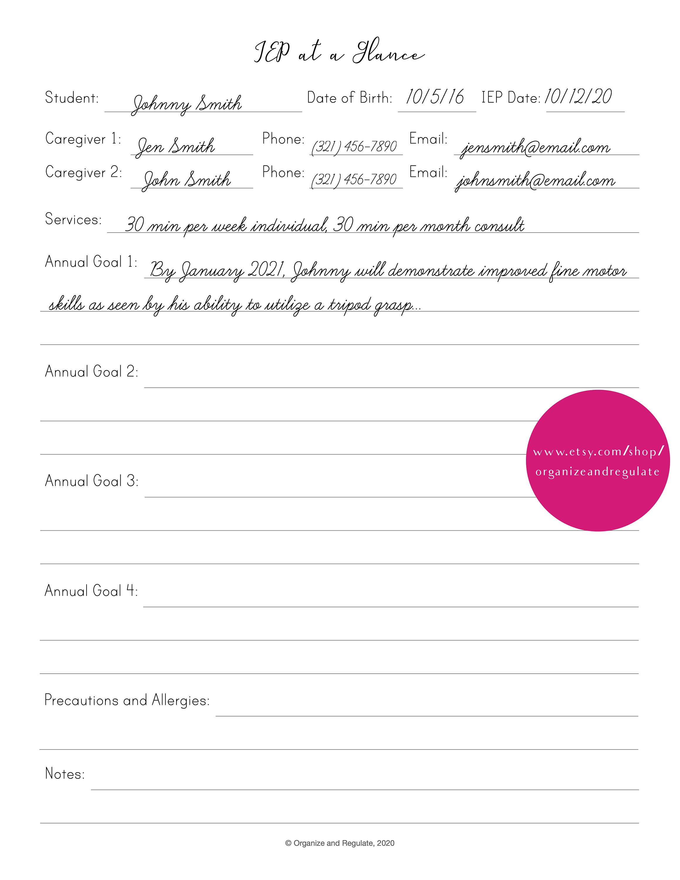 OT Caseload Planner Printable, Occupational Therapy Organizer (digital ...