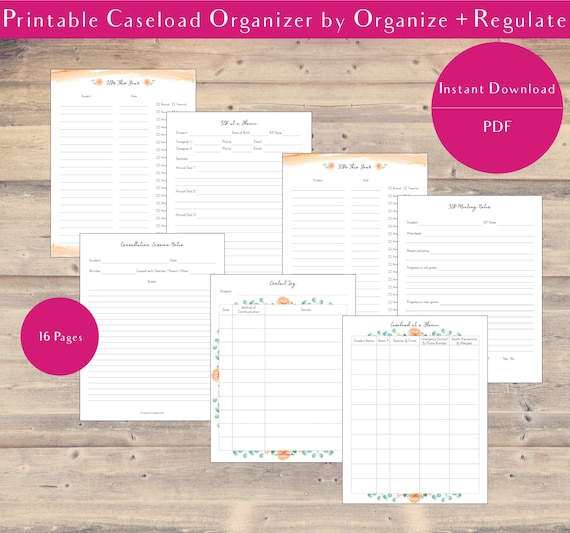 OT Caseload Planner Printable Occupational Therapy Organizer | Etsy