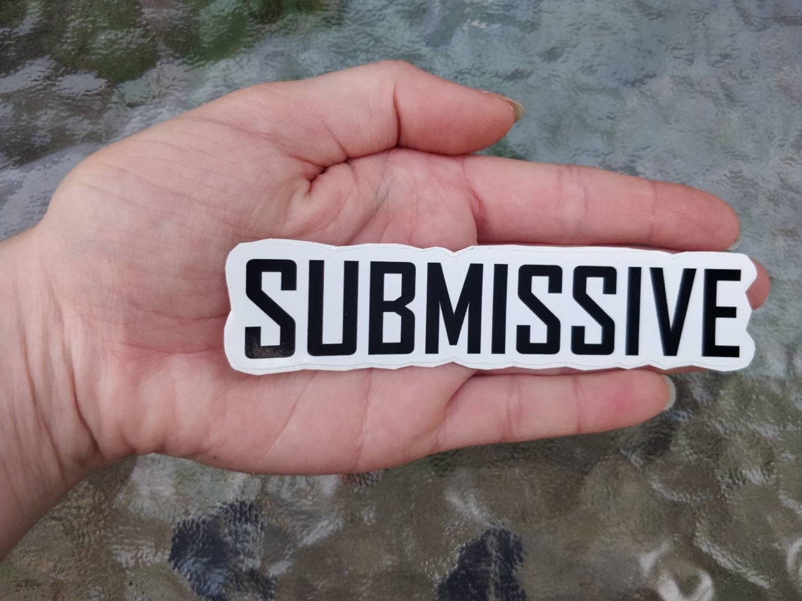 Submissive BDSM Sticker / Kinky Sub Stickers / Dominant Master | Etsy