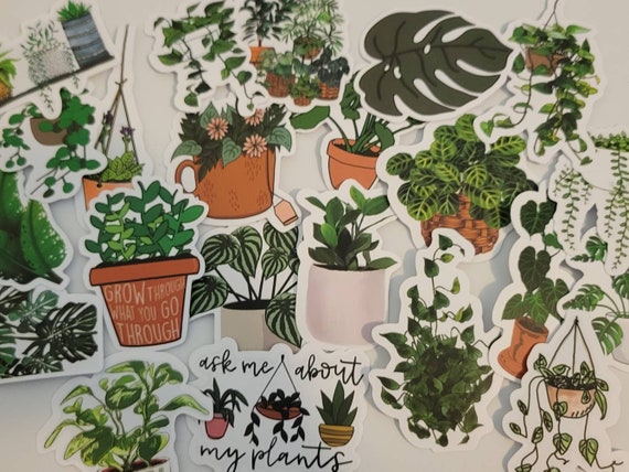 Green Succulent Snake Plant and Leaf Stickers Random Variety - Etsy