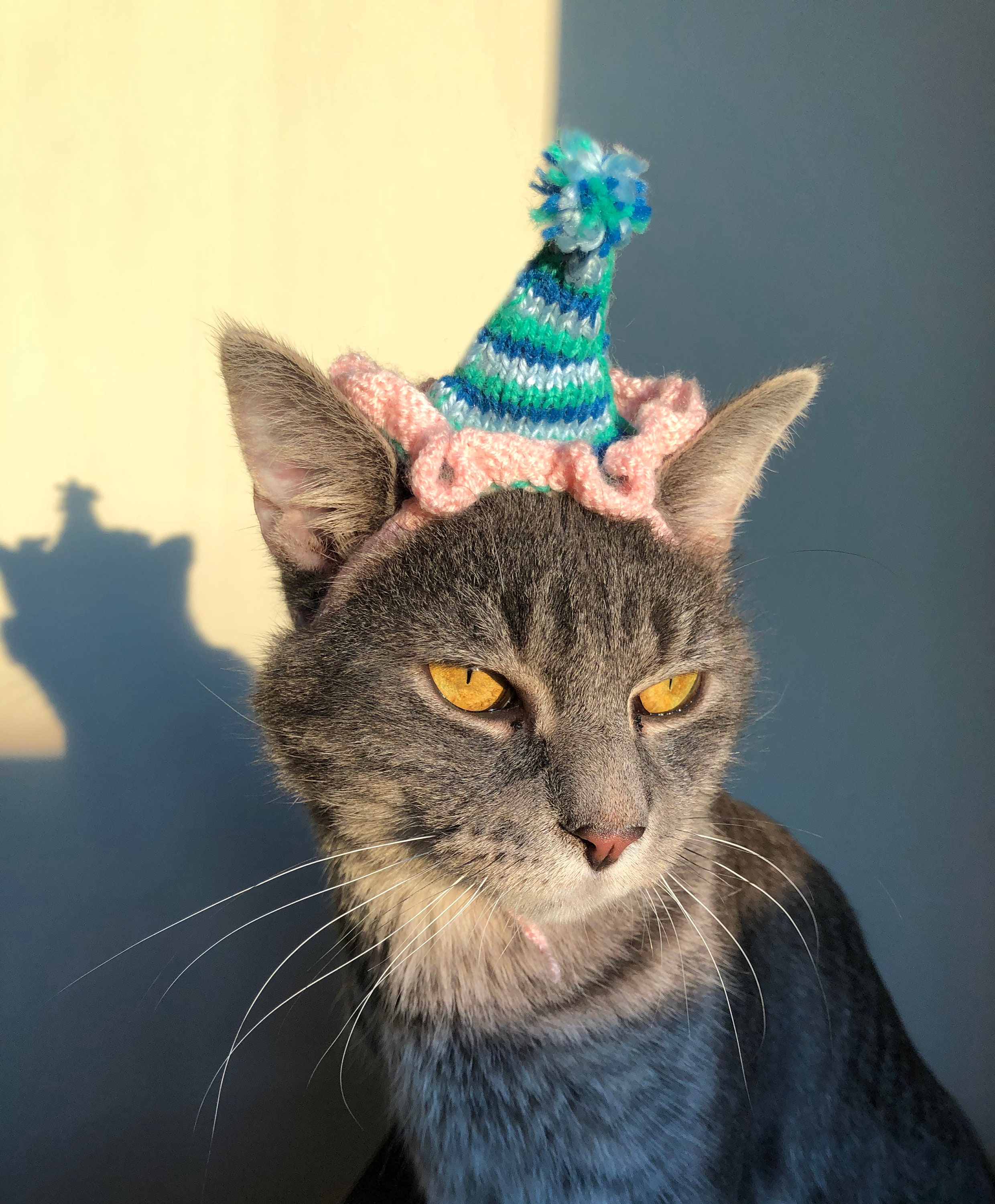 Birthday Hat Cat