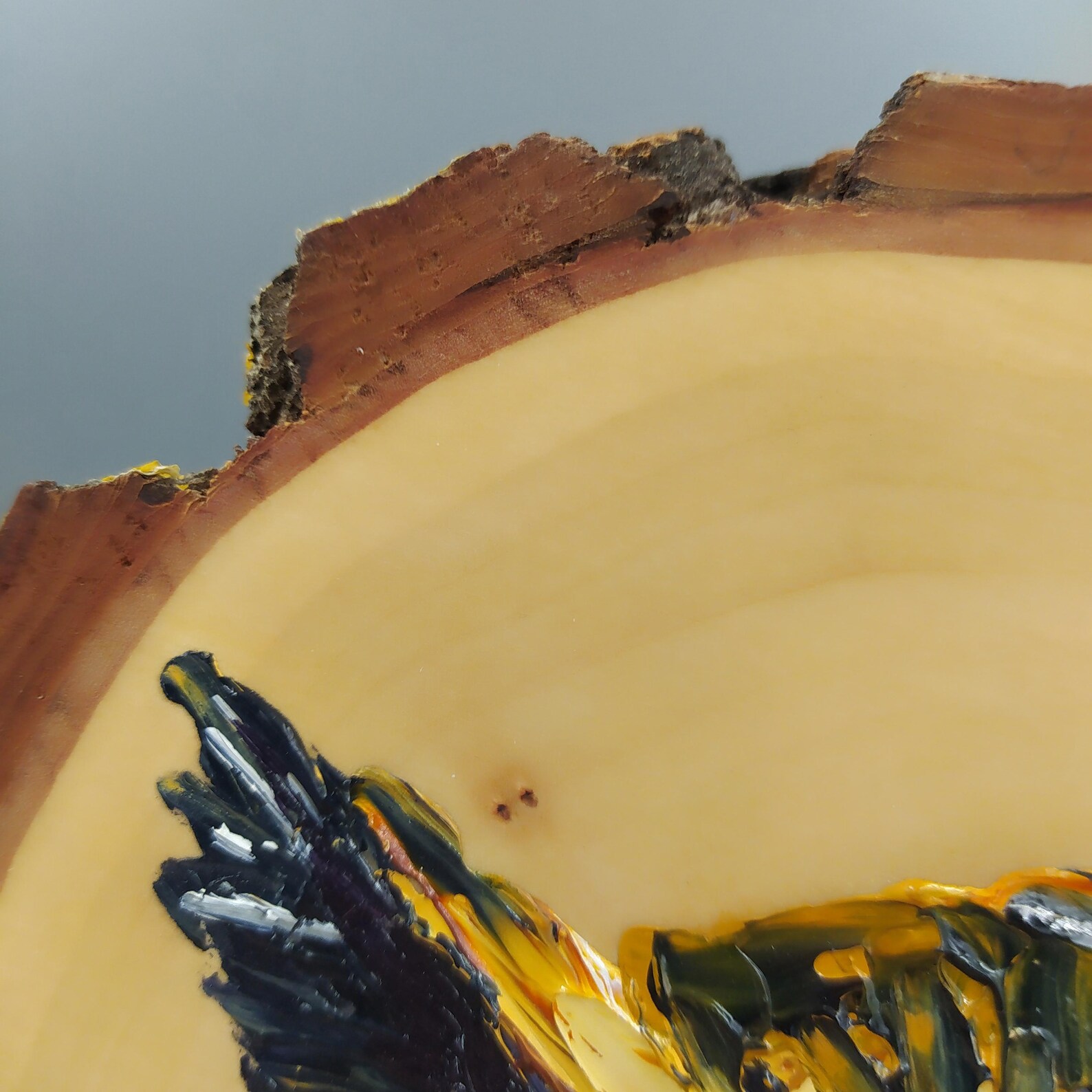 Owl Painting Wooden Slice. Porch Decor. Slice of Wood on the Wall - Etsy