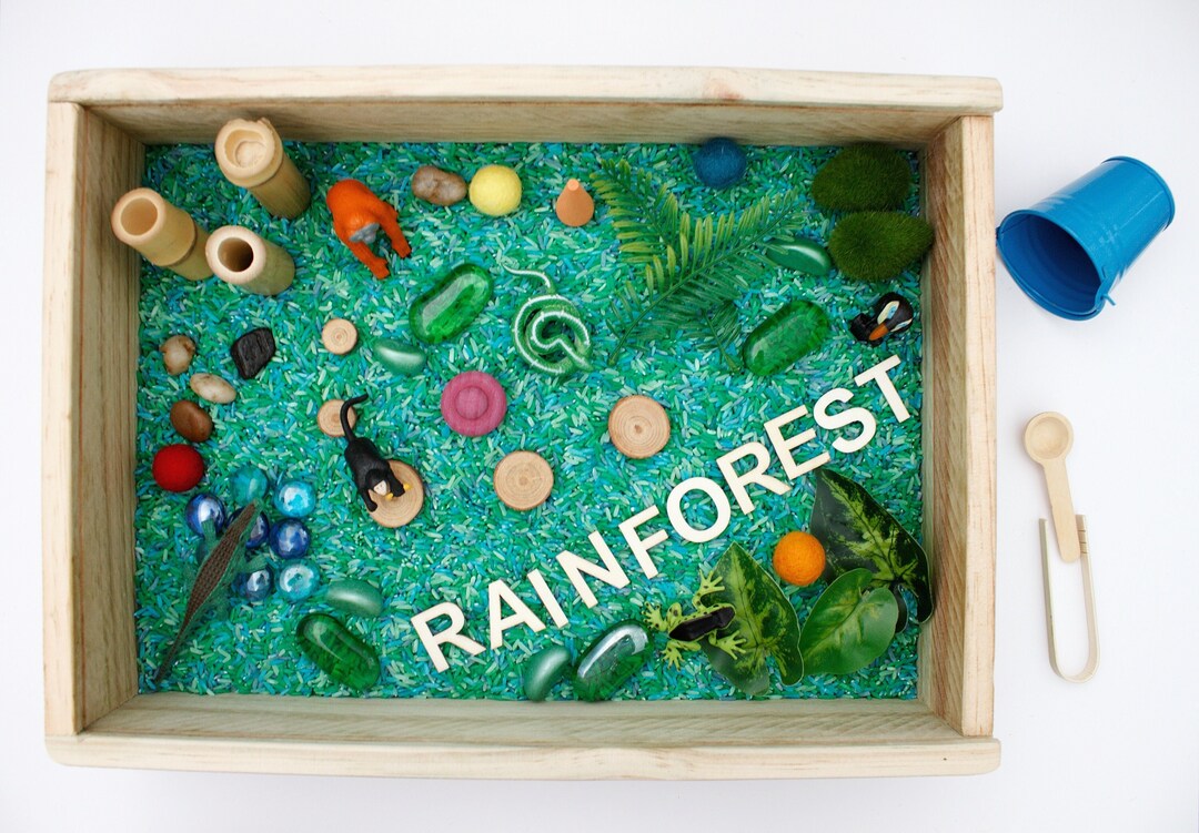 Rainforest Sensory Play Kit, Play Dough Kit, Busy Box, Sensory Rice ...