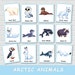 Polar Nature Scenes Paper Cutouts, Arctic, Antarctica, Homeschool ...