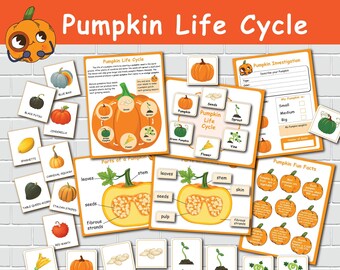 Pumpkin Unit Study, Life Cycle of a Pumpkin, Pumpkin Varieties, Fall ...