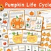 Pumpkin Unit Study, Life Cycle of a Pumpkin, Pumpkin Varieties, Fall ...