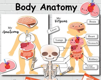 Five Senses Sorting Activity Cards. Body Puzzle. Body Parts - Etsy