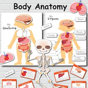 Human Anatomy Printable Activity. dark Skin Tone Science Anatomy ...