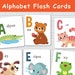 Alphabet Flashcards for Toddlers, ABC Printable Flash Cards, ABC ...