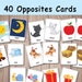 Opposites Matching Flashcards Printable Activity Pairing - Etsy