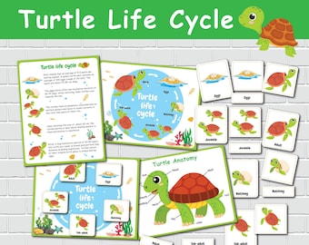 Life Cycle of a Frog, Frog Anatomy, 3 Part Montessori Cards, Nature ...