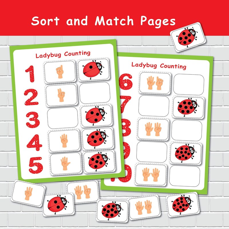 Counting Book - Etsy