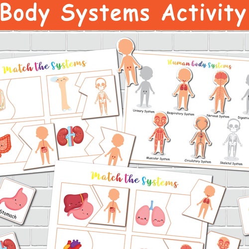 Body Systems Activity Human Anatomy Worksheets Preschool Busy - Etsy