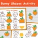 Bunny Shapes Sort and Match Activity, 2D Shapes, Spring Busy Book, File ...