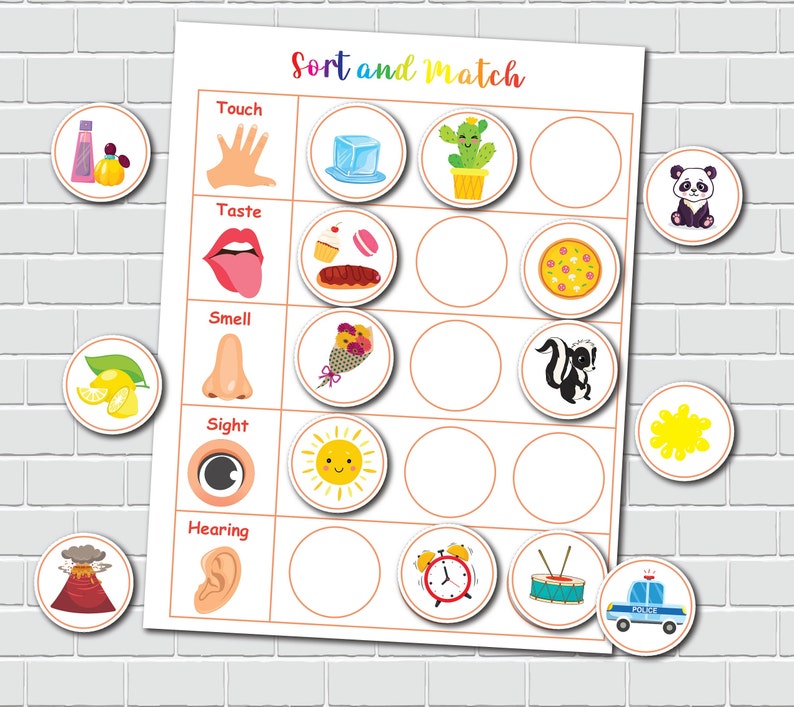 Five Senses Sorting Printable Activity 5 Senses Matching Etsy