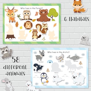 Animals of the World Busy Book Pages for Kids. Toddler Learning Binder ...
