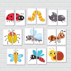 Bugs Matching Game, Symmetry Cards, Toddler Matching Activity ...
