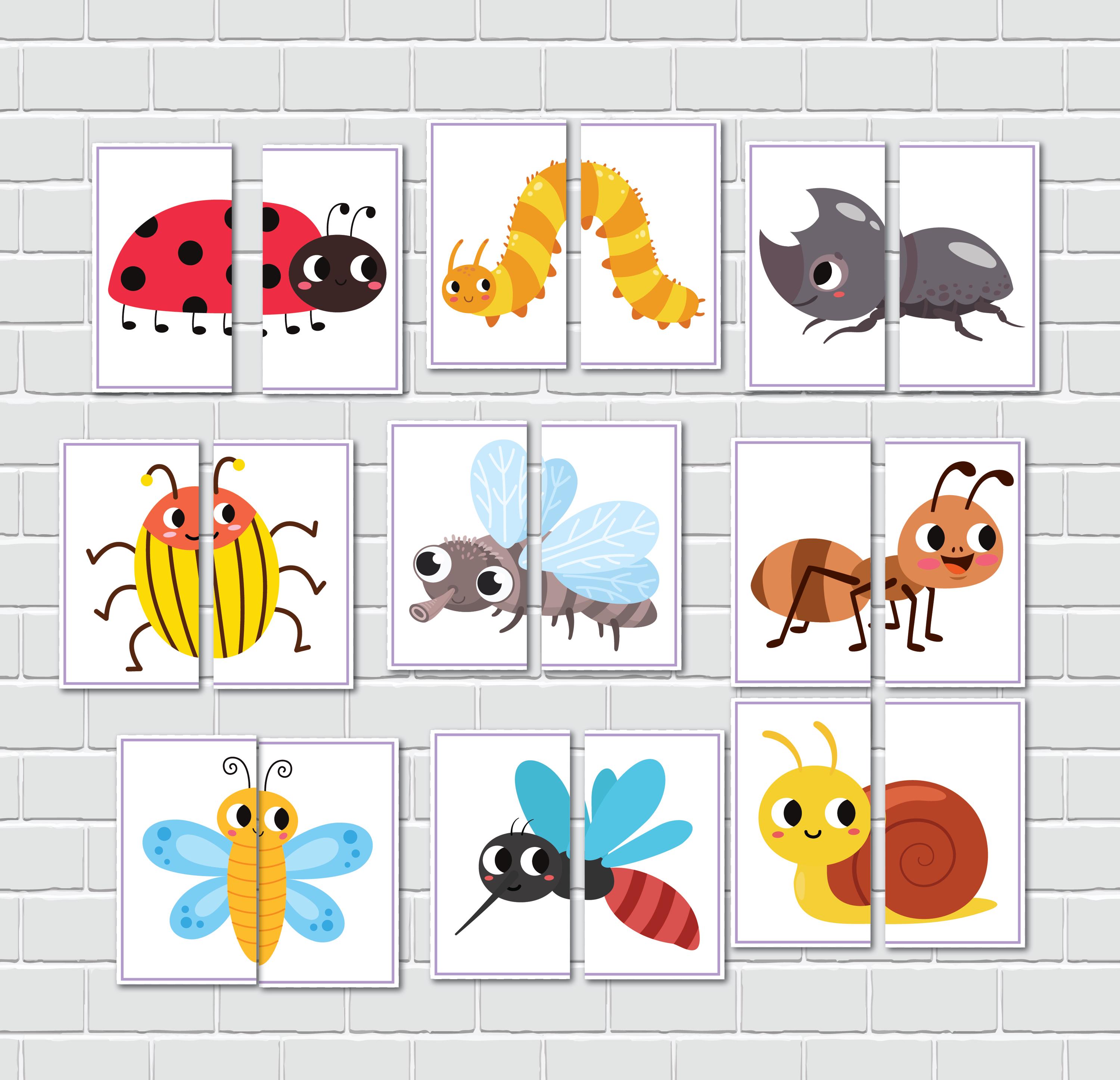 Bugs Matching Game, Symmetry Cards, Toddler Matching Activity ...