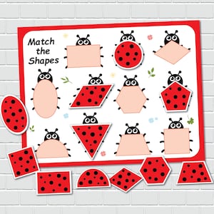 Ladybug Shape Matching Activity, 2D Shapes, Summer Busy Book Page, File ...