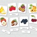 Fruits Three Part Cards Montessori Flashcards Homeschool - Etsy