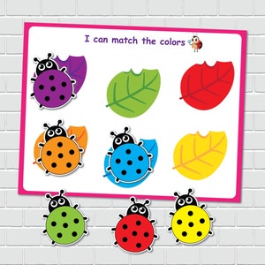 Ladybug Color Matching Activity, Toddler Printable, Montessori ...