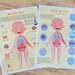 Anatomy Busy Book, Printable Learning Binder, Preschool Anatomy ...