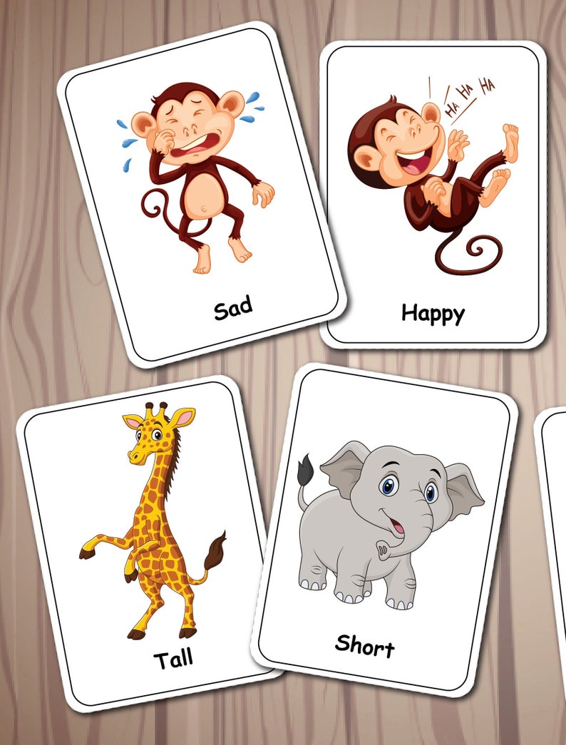 Opposites Matching Flashcards Printable Activity Pairing - Etsy