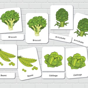 Vegetables Three Part Cards, Montessori Flashcards, Homeschool ...