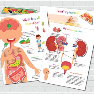 Human Anatomy Busy Book Printable Learning Binder Preschool Worksheets ...