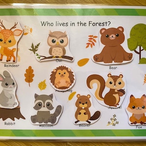 Animals of the World Busy Book Pages for Kids. Toddler Learning Binder ...