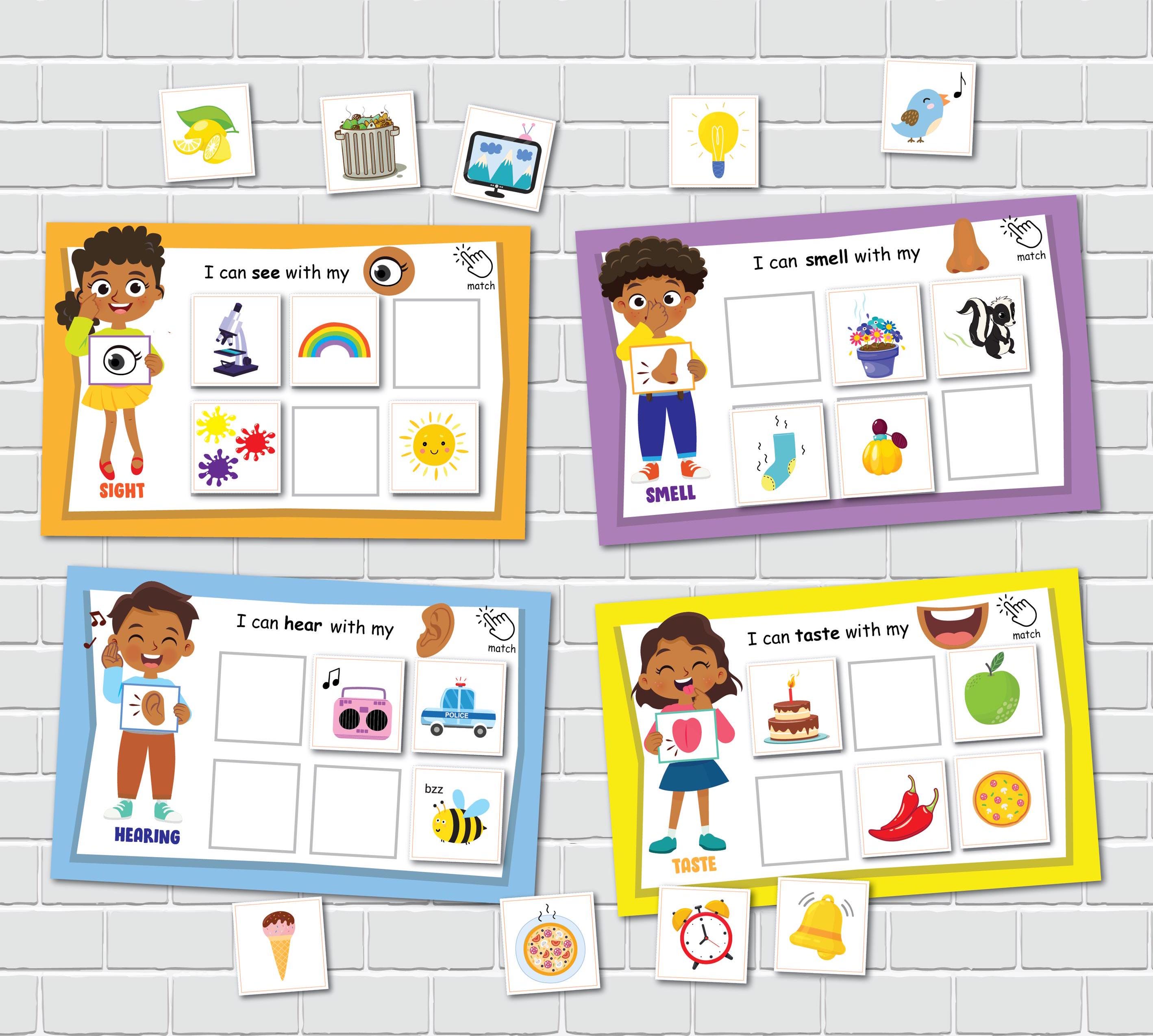 Five Senses Sorting Mats, Printable Activity, 5 Senses Sorting ...
