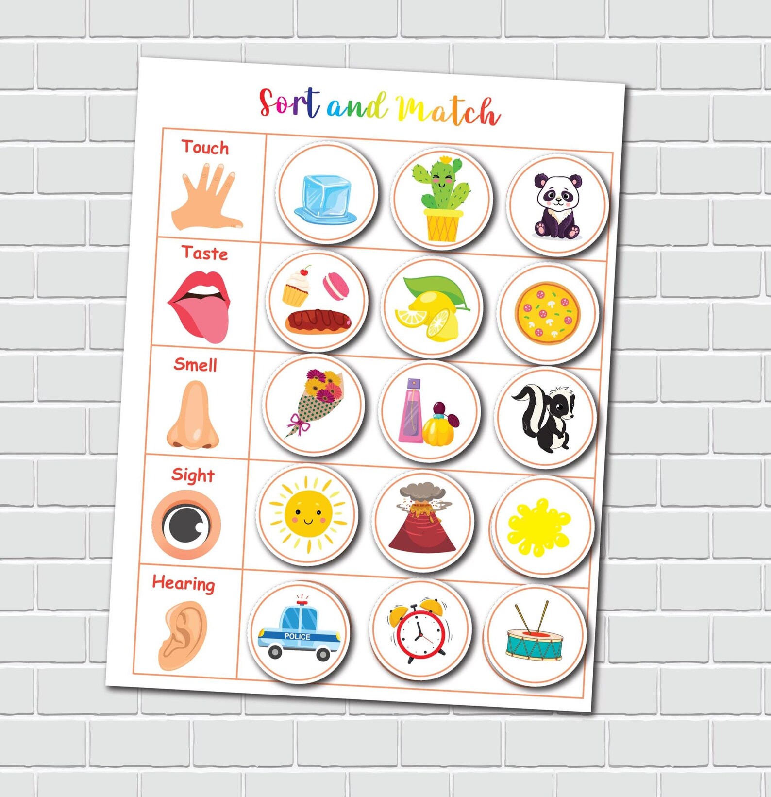 Five Senses Matching Activity: Preschool Anatomy Learning Binder (PDF ...