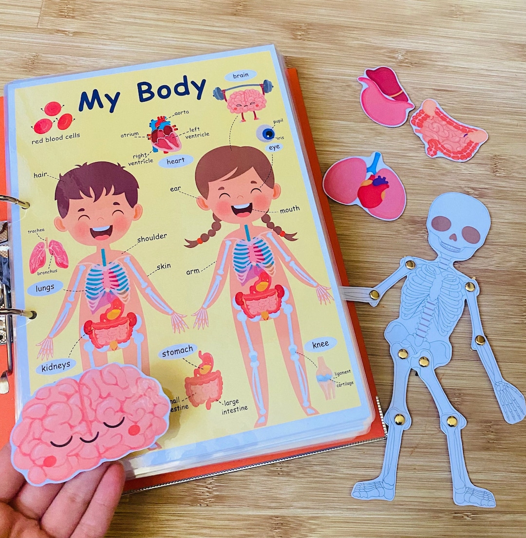 Anatomy Busy Book, Printable Learning Binder, Preschool Anatomy ...