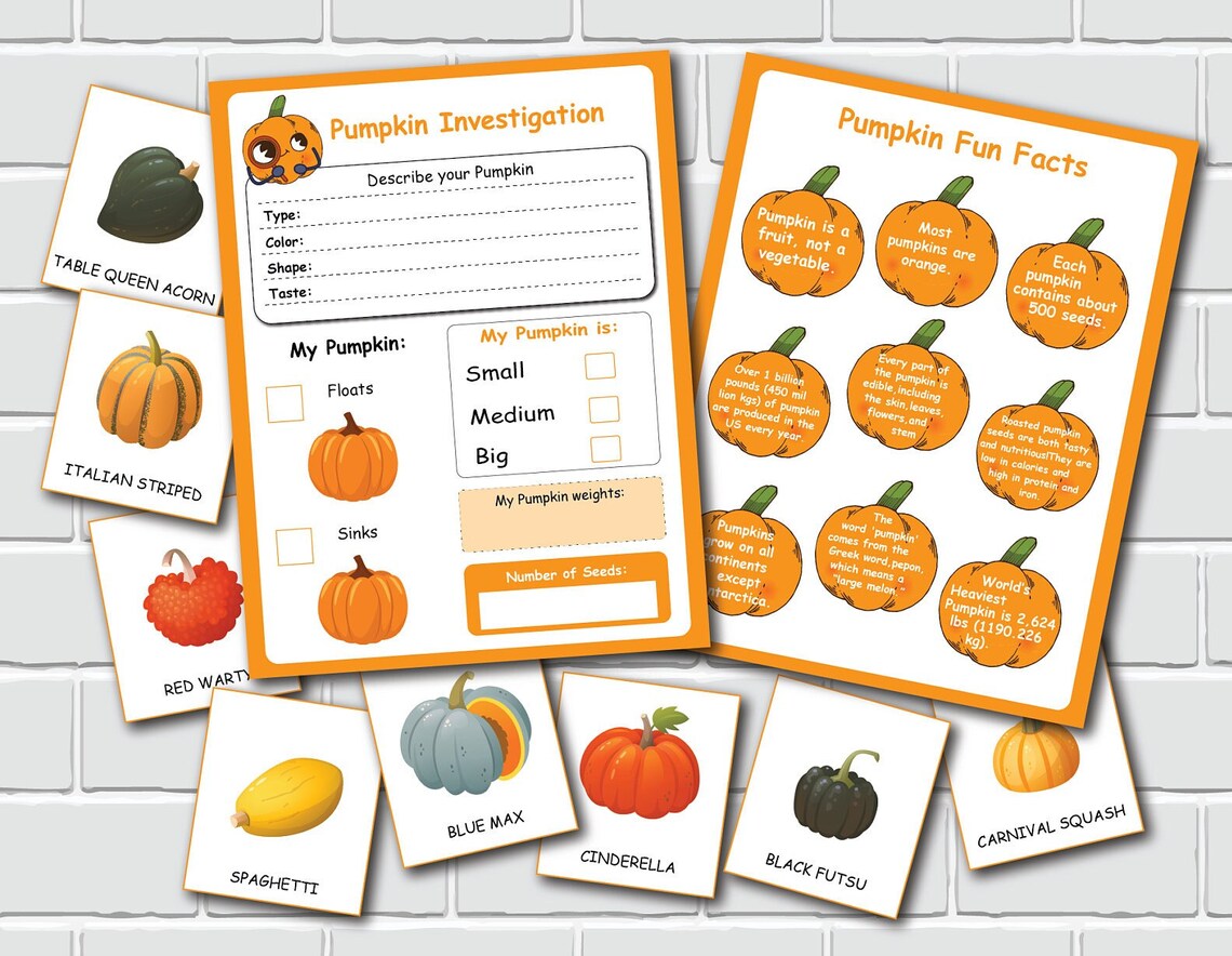 Pumpkin Unit Study, Life Cycle of a Pumpkin, Pumpkin Varieties, Fall ...
