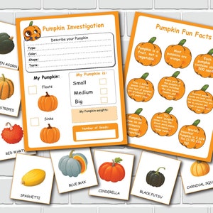 Pumpkin Unit Study, Life Cycle of a Pumpkin, Pumpkin Varieties, Fall ...