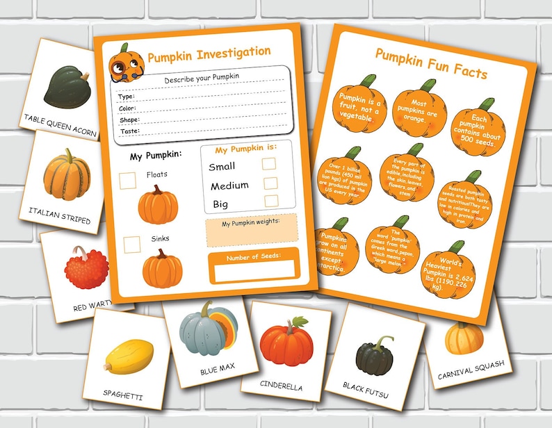 Pumpkin Unit Study, Life Cycle of a Pumpkin, Pumpkin Varieties, Fall ...