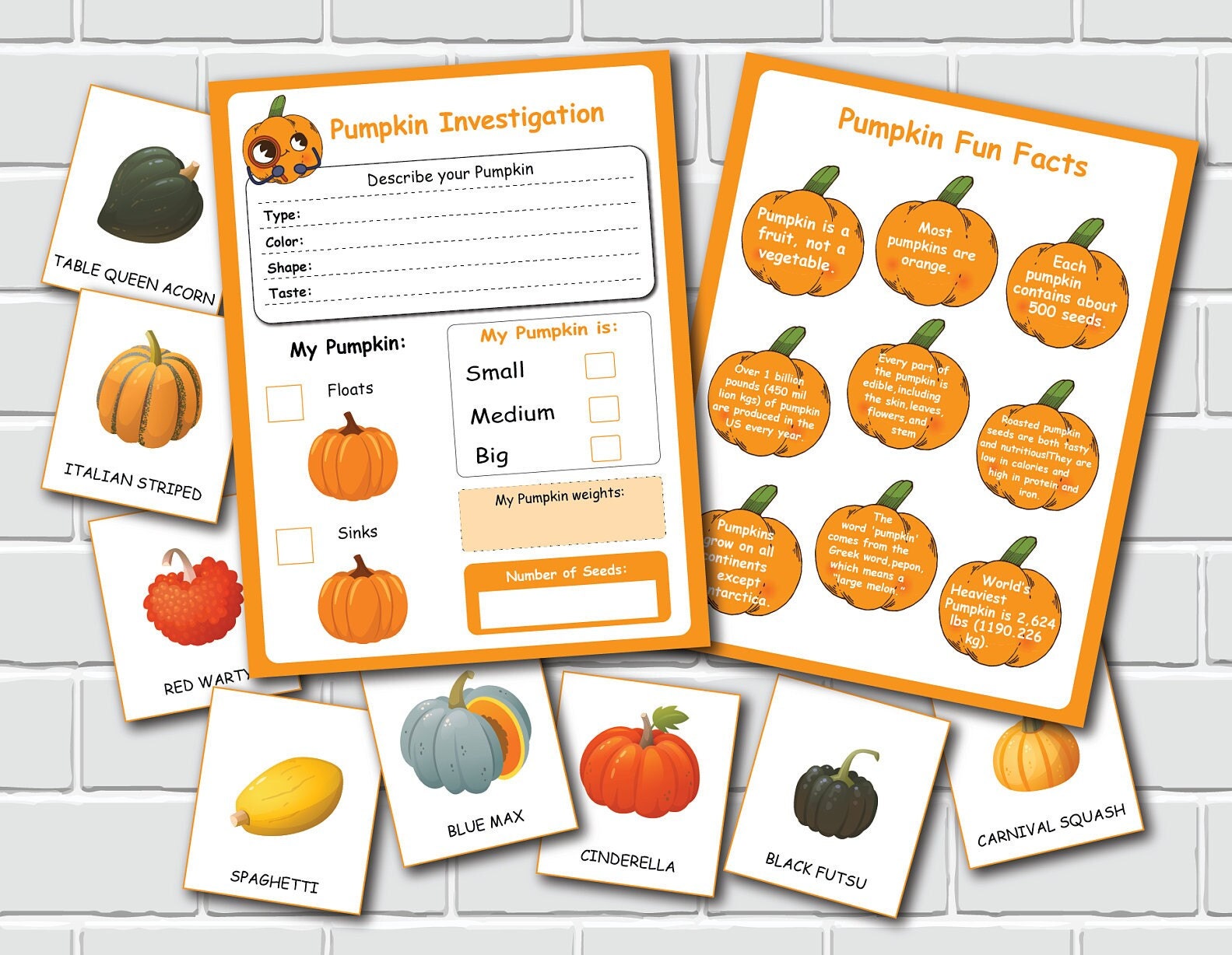 Pumpkin Unit Study, Life Cycle of a Pumpkin, Pumpkin Varieties, Fall ...