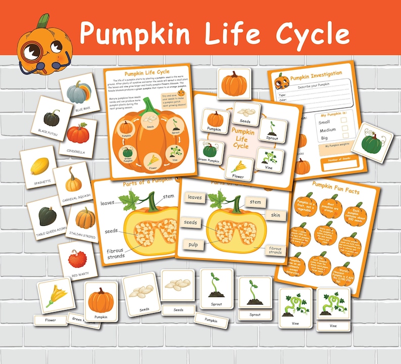 Pumpkin Unit Study, Life Cycle of a Pumpkin, Pumpkin Varieties, Fall ...