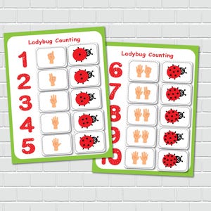 Ladybug Count and Match Activities, Preschool Math,toddler Busy Book ...