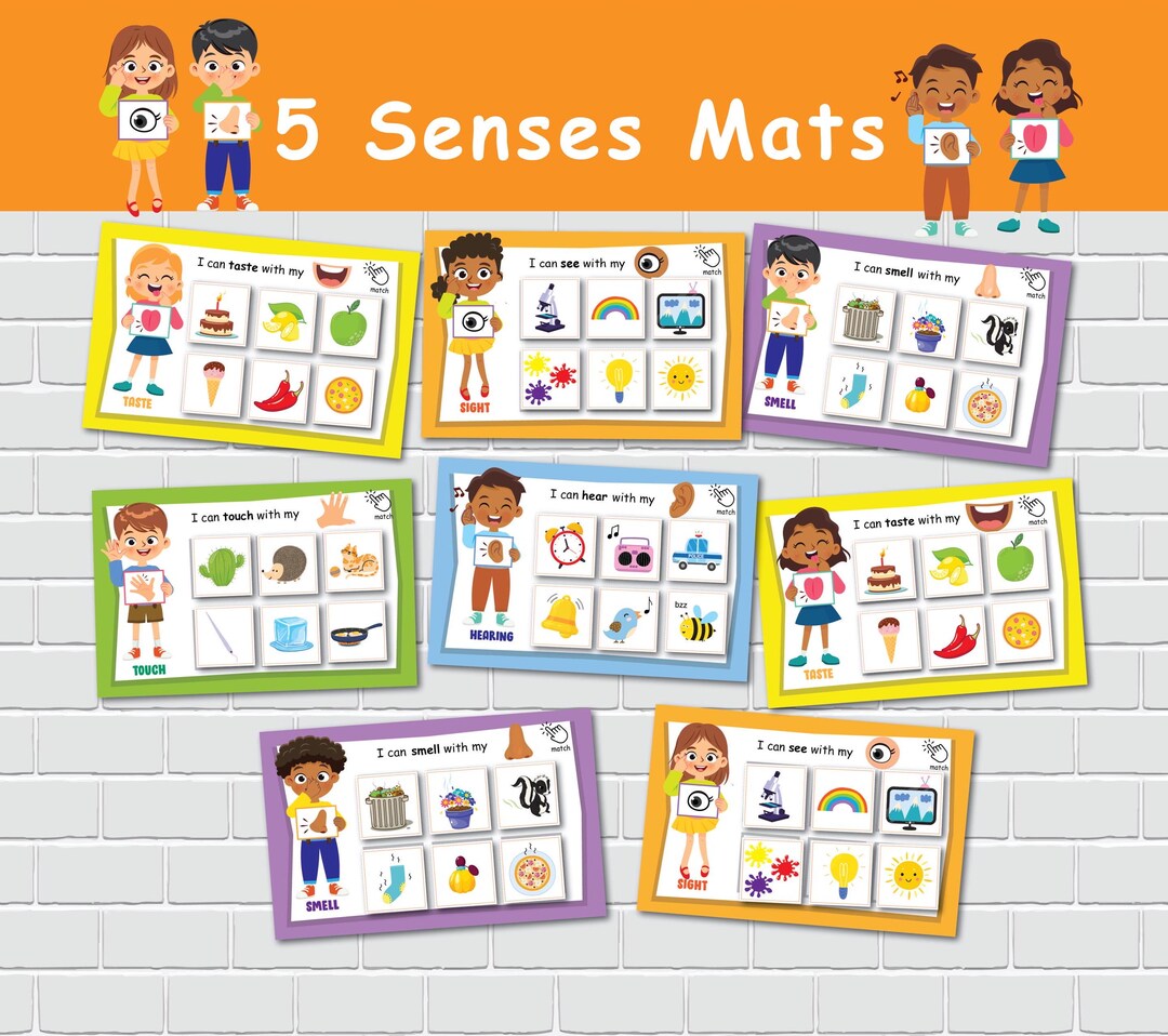 Five Senses Sorting Mats, Printable Activity, 5 Senses Sorting ...