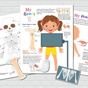 Human Anatomy Busy Book Printable Learning Binder Preschool Worksheets ...